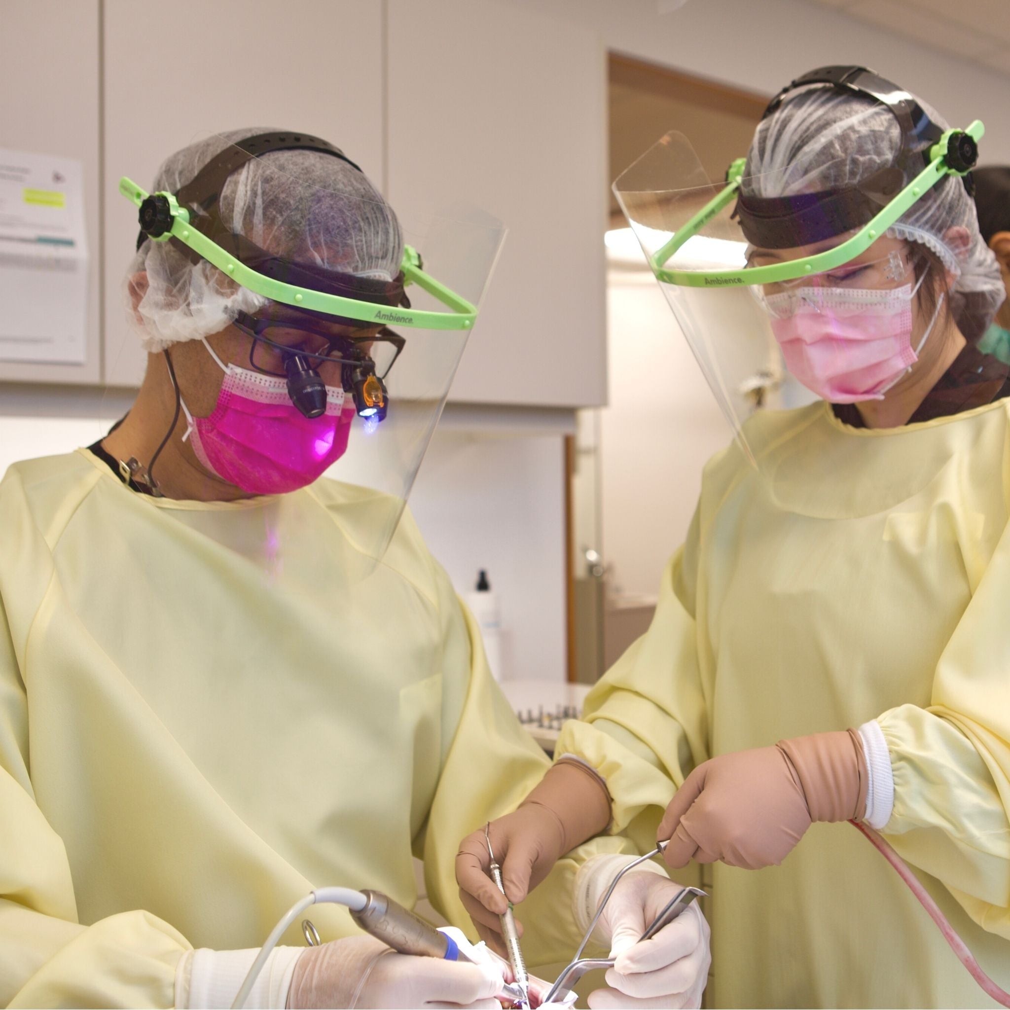 Fits Loupes. Best Dental Face Shield for Dentists and Hygienists ...